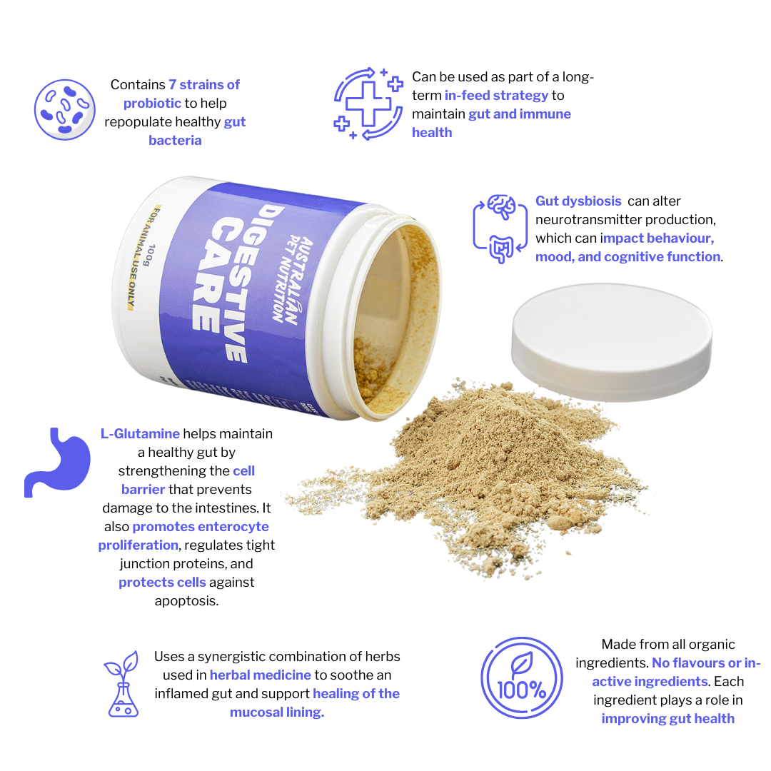 Digestive Care 100g – Australianpetnutrition