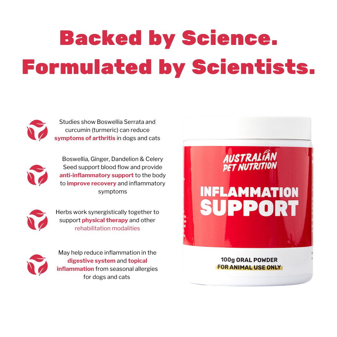 Inflammation Support 100g – Australianpetnutrition